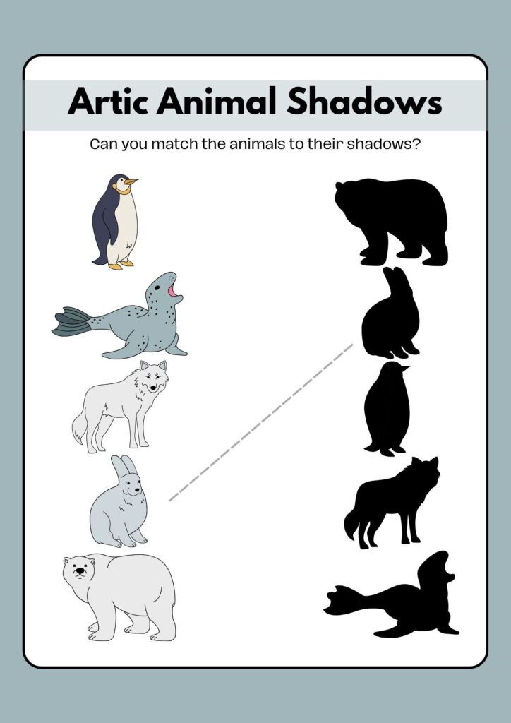 Shadow and Image Matching Worksheet For kids - Free Worksheets